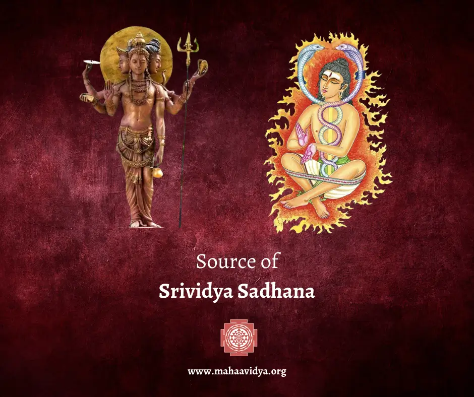 What is the Source of Sri Vidya Sadhana? - Mahavidya Sadhana Centre