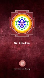 What is Sri Chakra? - Mahavidya Sadhana Centre